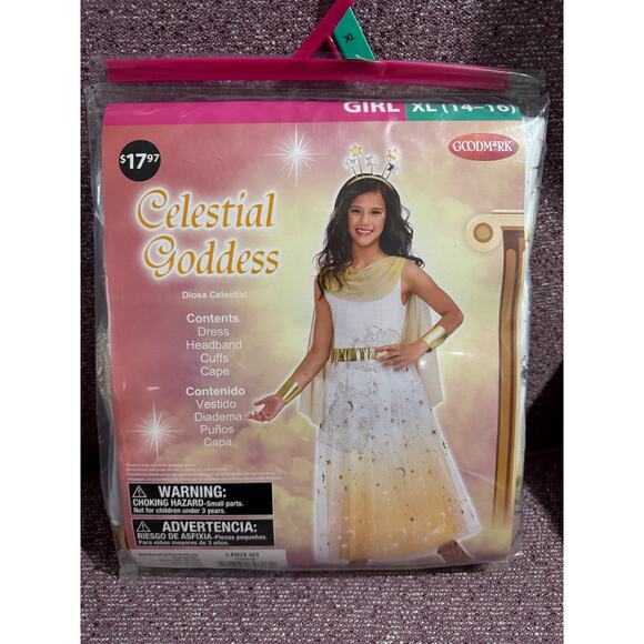 Goodmark | Costumes | Celestial Goddess Halloween Girl Extra Large 416 ...